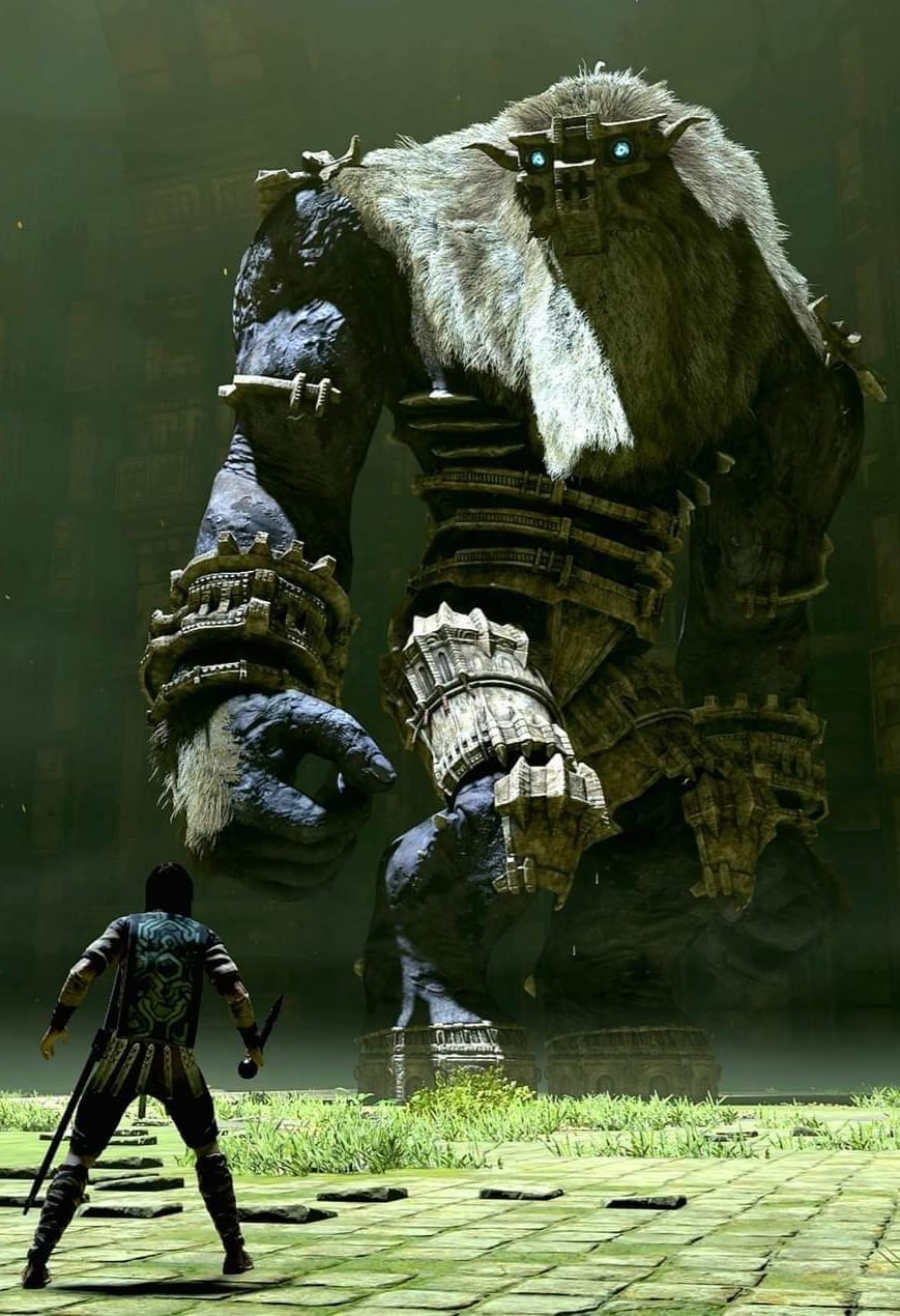 Shadow Of The Colossus 6th Colossus