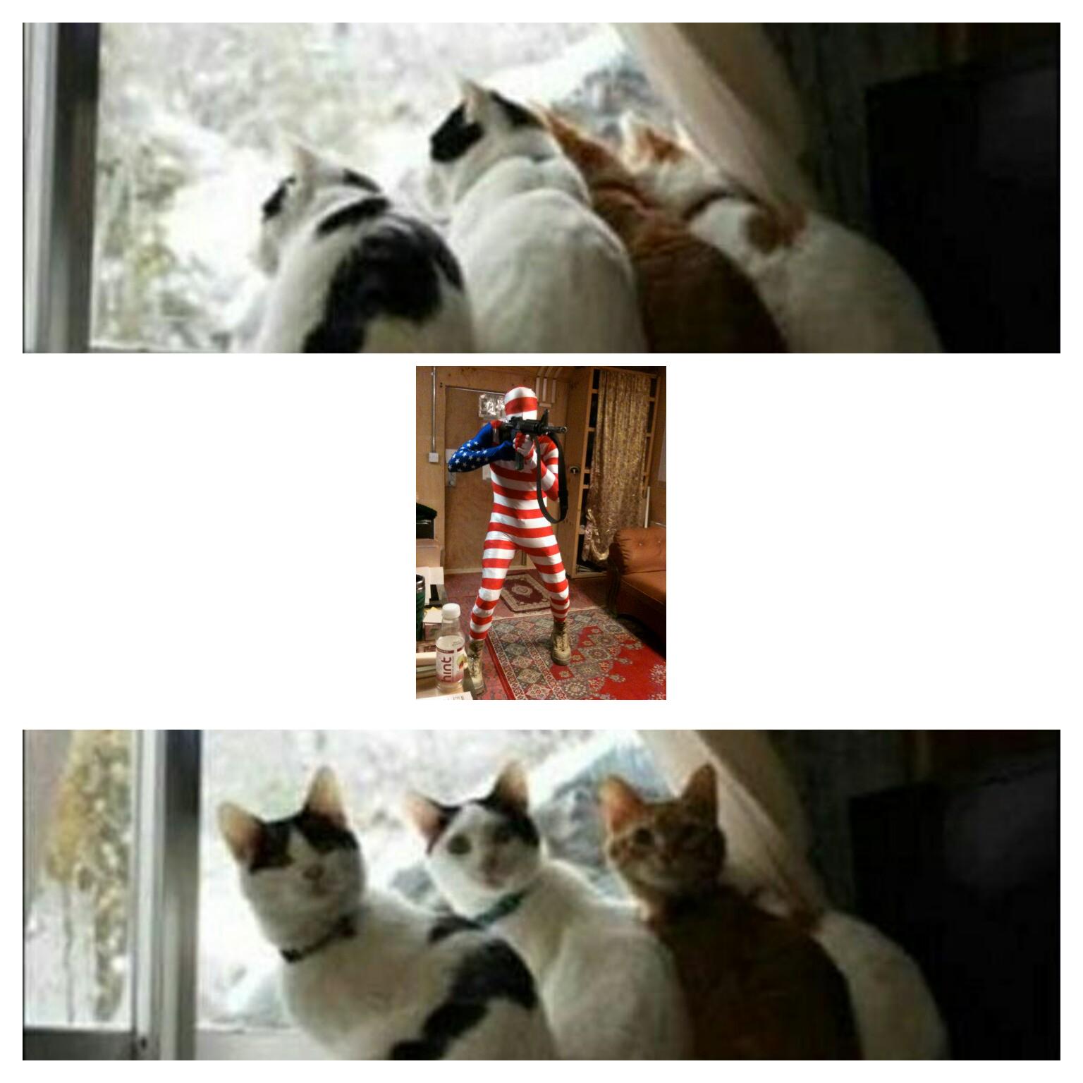 Shitpostbot 5000 On Twitter Https T Co A5dpyph0w0 Twitter