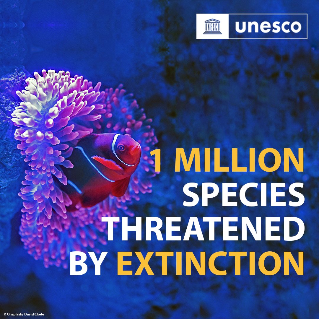 UNESCO 🏛️ #Education #Sciences #Culture 🇺🇳😷 on Twitter: "Humans have ...