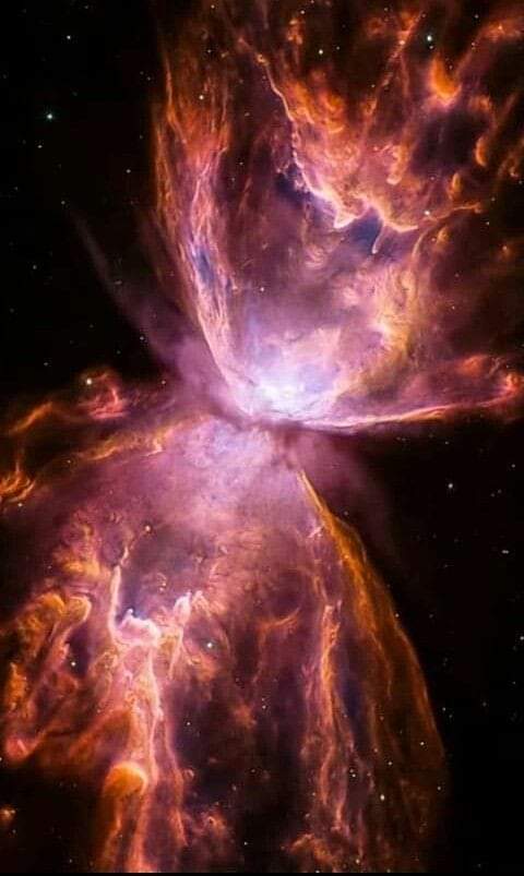 Butterfly Nebula Space