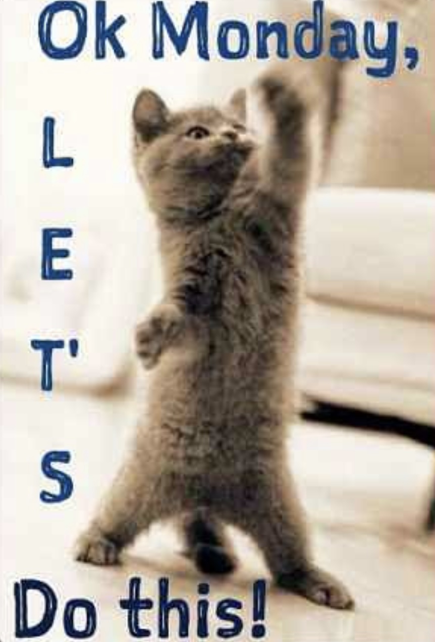 Happy Monday Work Meme