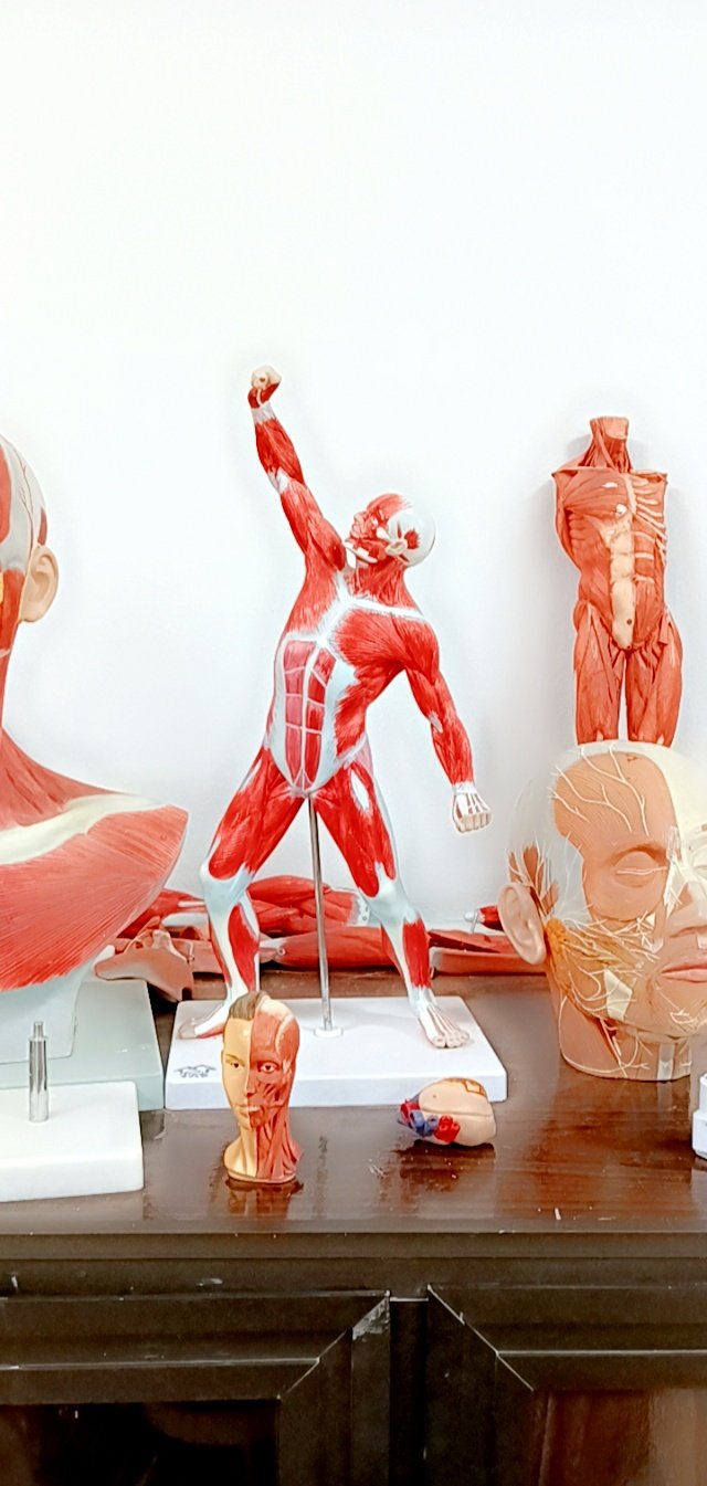 AZZA on Twitter: "محارب كفه اقرب جاي https://t.co/krsyPEnOmS" / Twitter