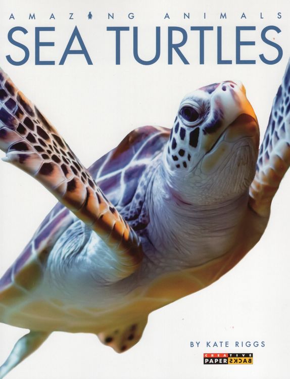 Books4School on Twitter: "Celebrate #WorldTurtleDay with this beautiful ...