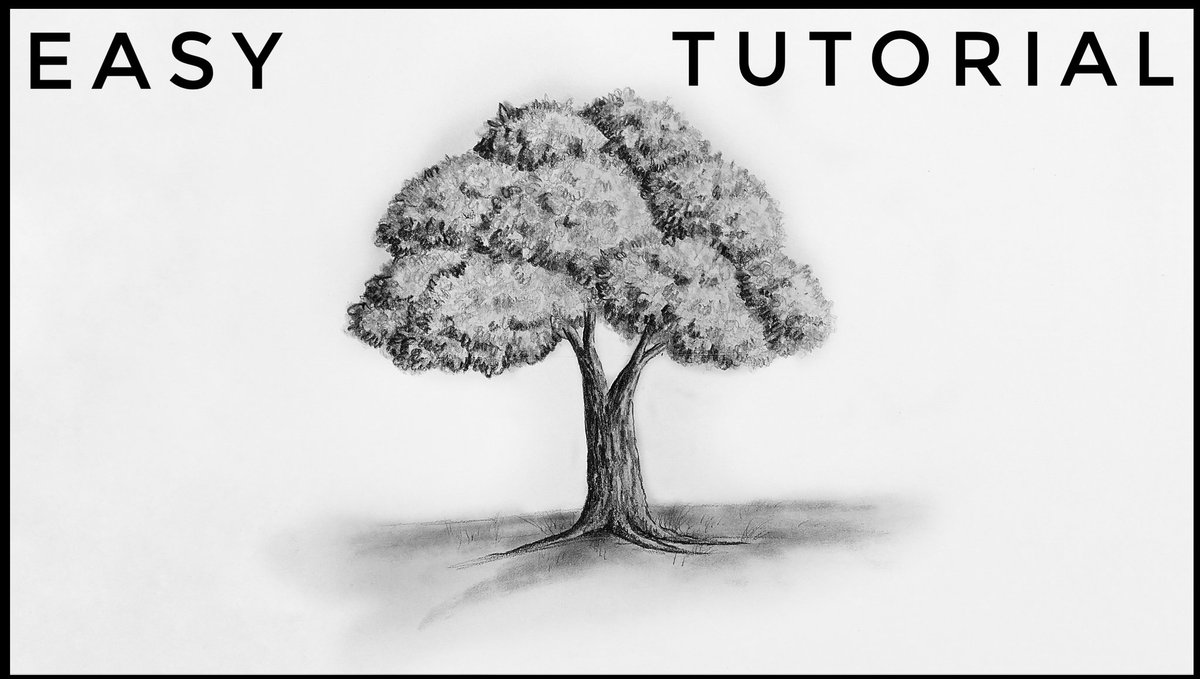 How To Draw A Realistic Tree For Beginners