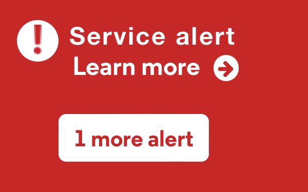 Daniel Shiffman on Twitter: "@jaymanji_ @DrAmandaR @raanapbot @TheYouYouAreBot No joke now my ...