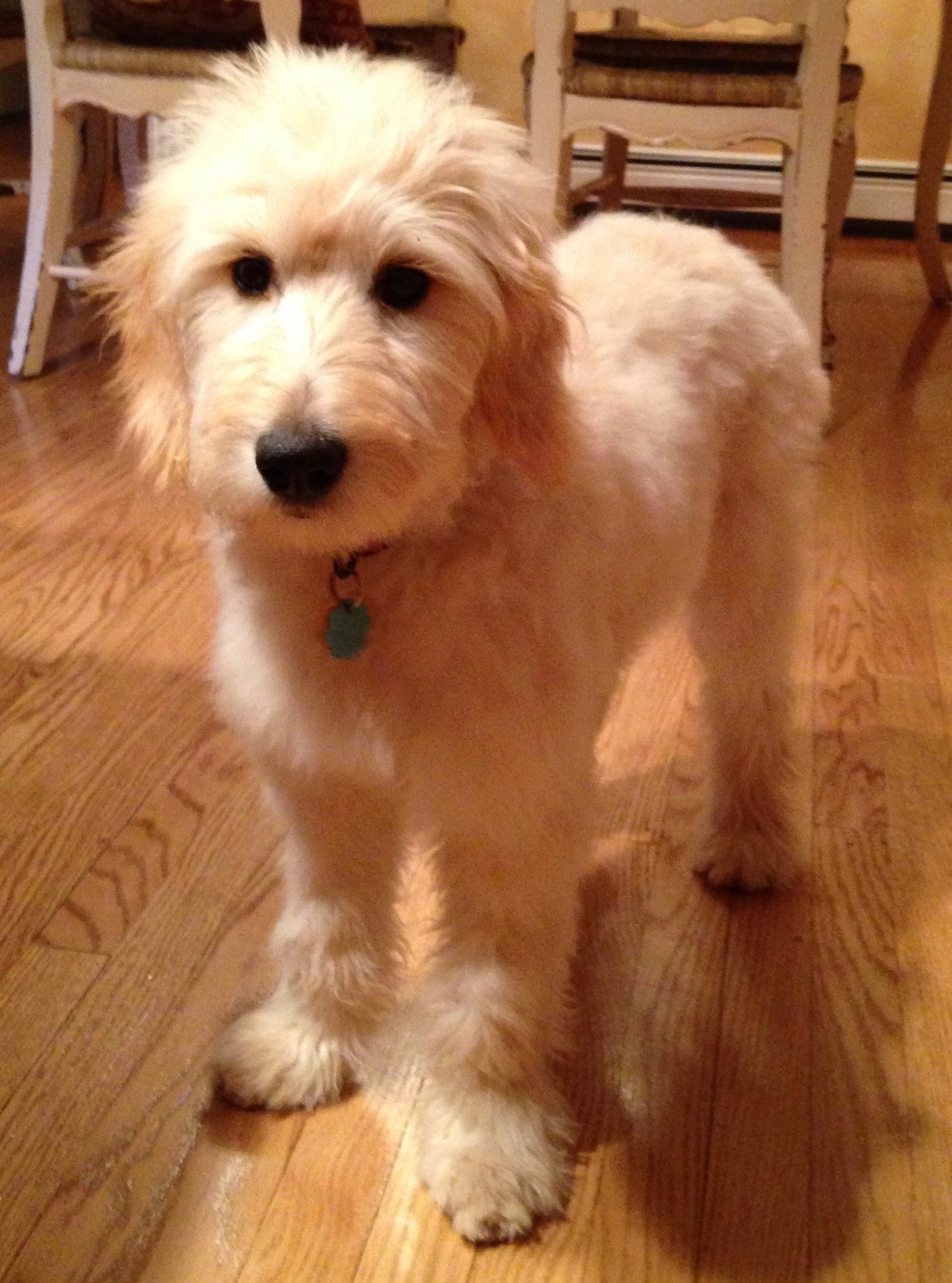 Chrissy Mosh Mom Costanza on Twitter: "I would do anything to start all over and live through it ...