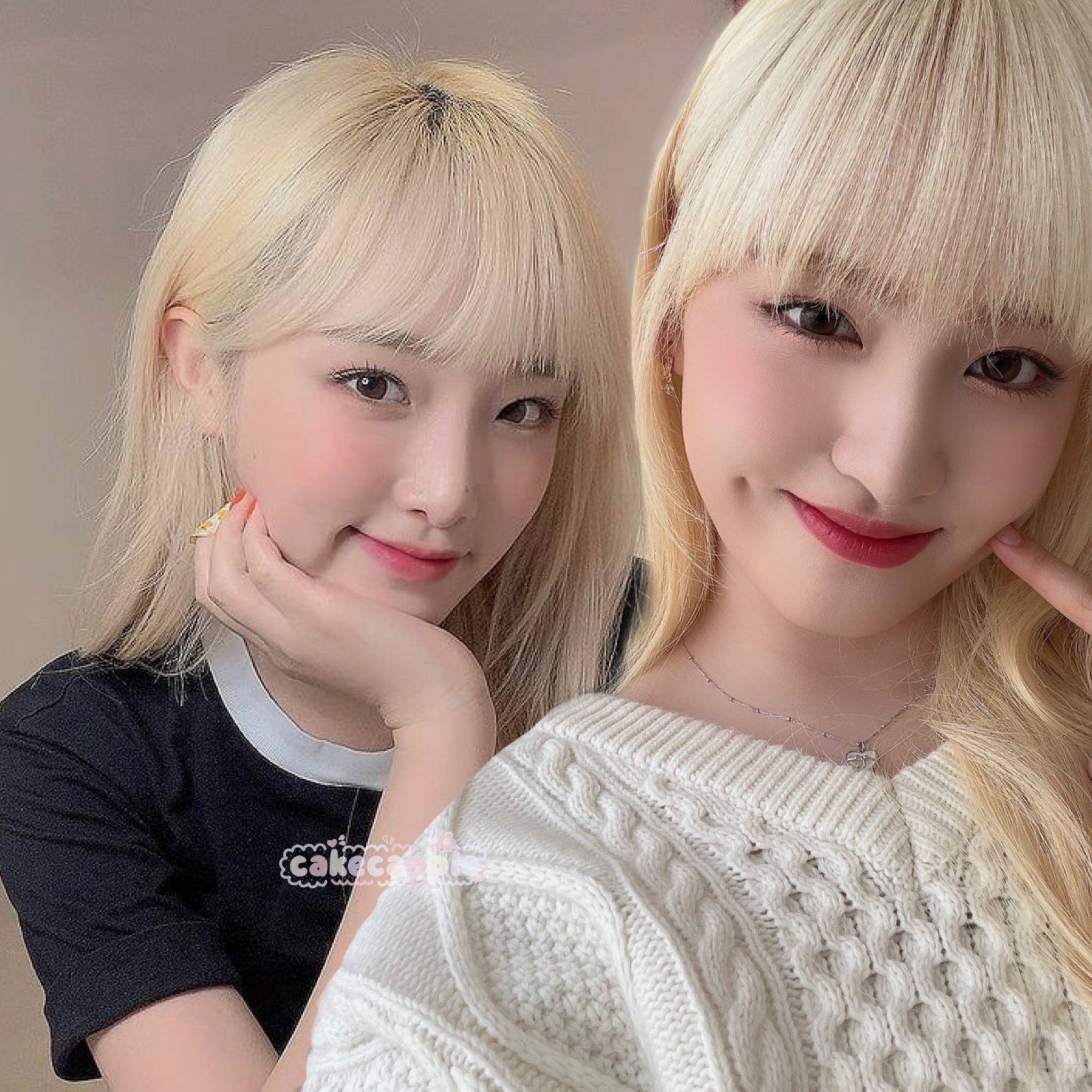 ayAA. OPEN MANIPS MANIP LAYOUT. on Twitter: "MANIPS SELCA PRICE : 6K/2 HEADS https://t.co ...