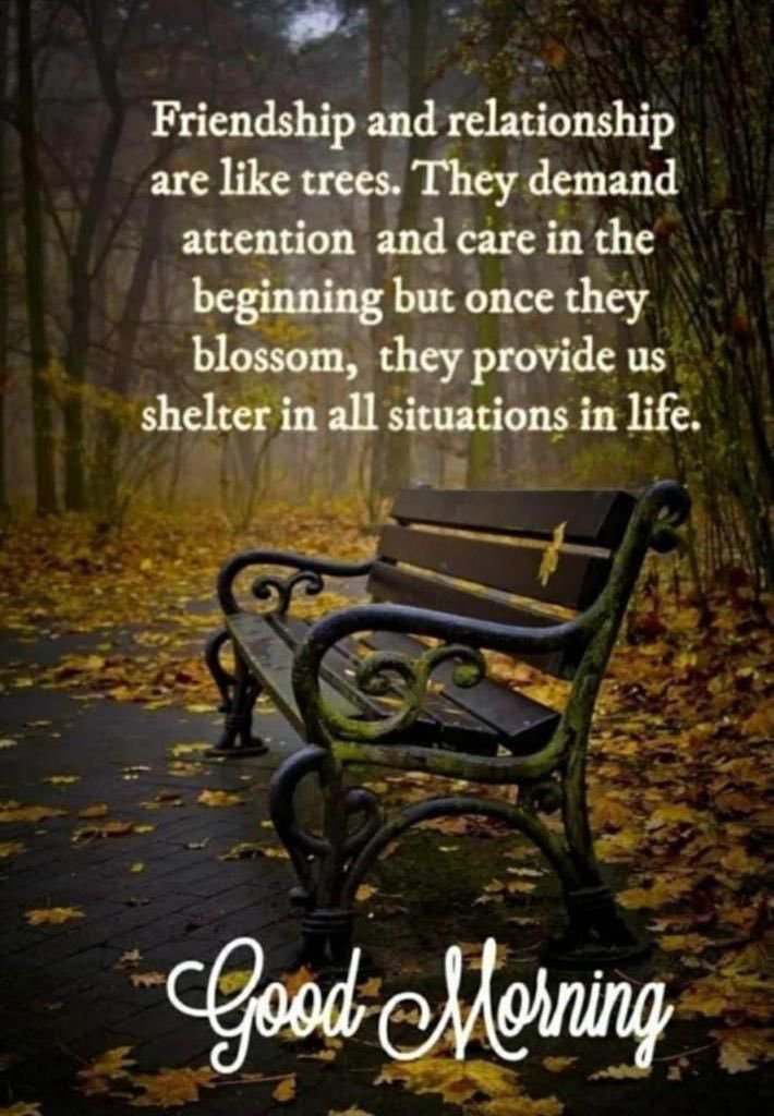 Friends Are Like Trees Quotes