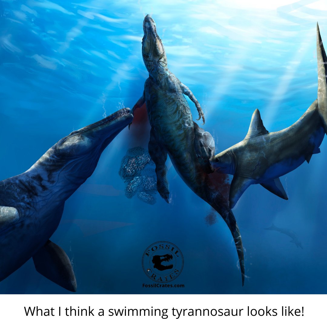 Tylosaurus Vs Mosasaur Mosasaur Tylosaurus Stock Illustrations – 30