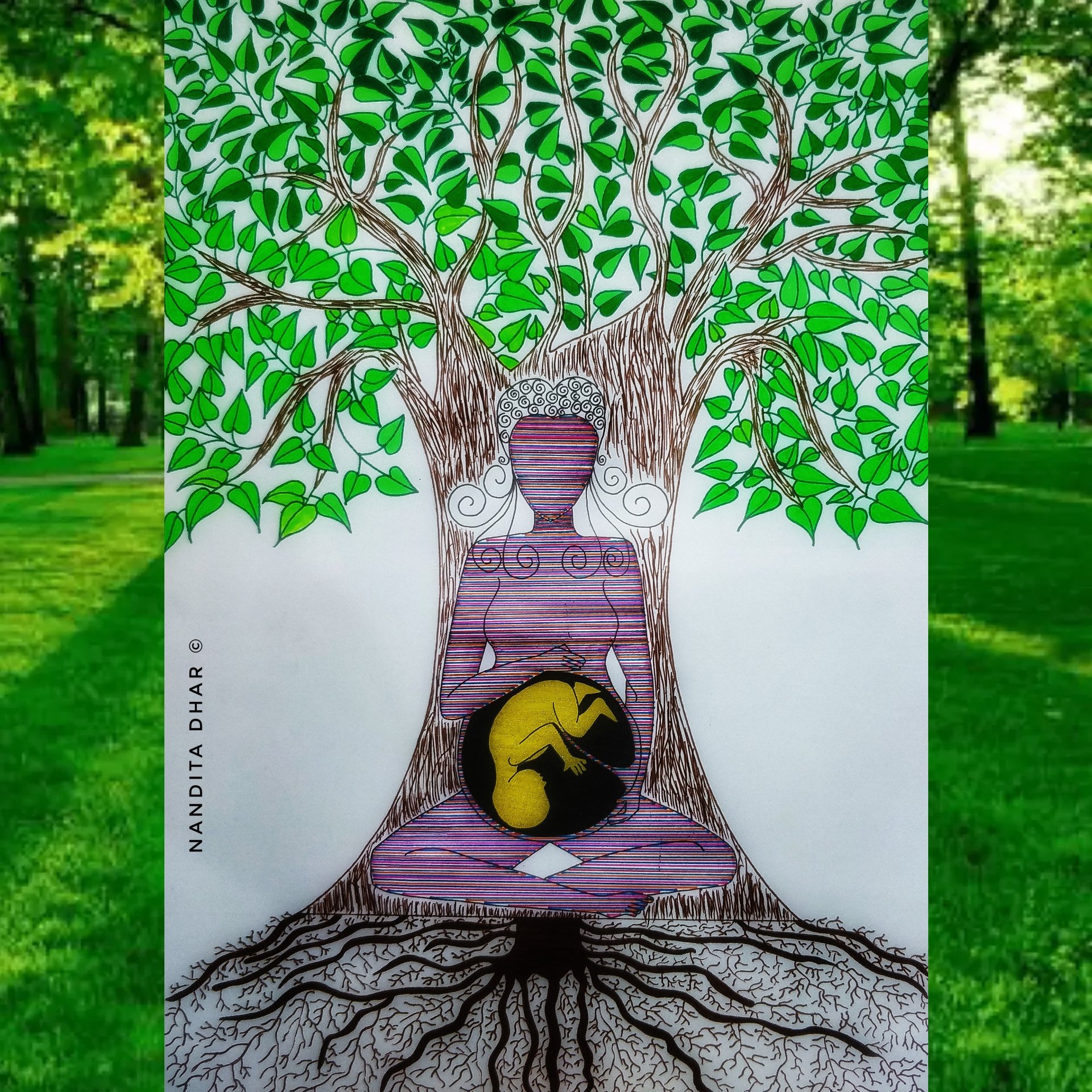 Tree Of Life Drawing Indian