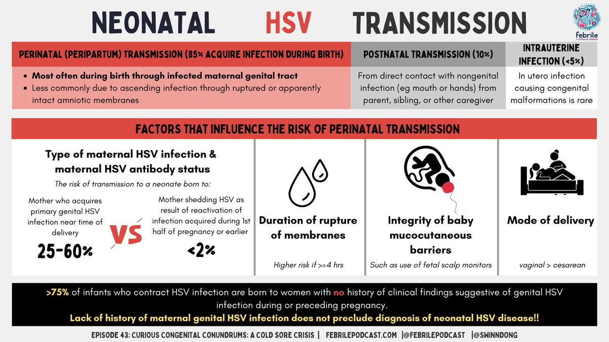 1/🔥NEW EPISODE! Join Drs. Sarah May Johnson & @fladomenou for this ...