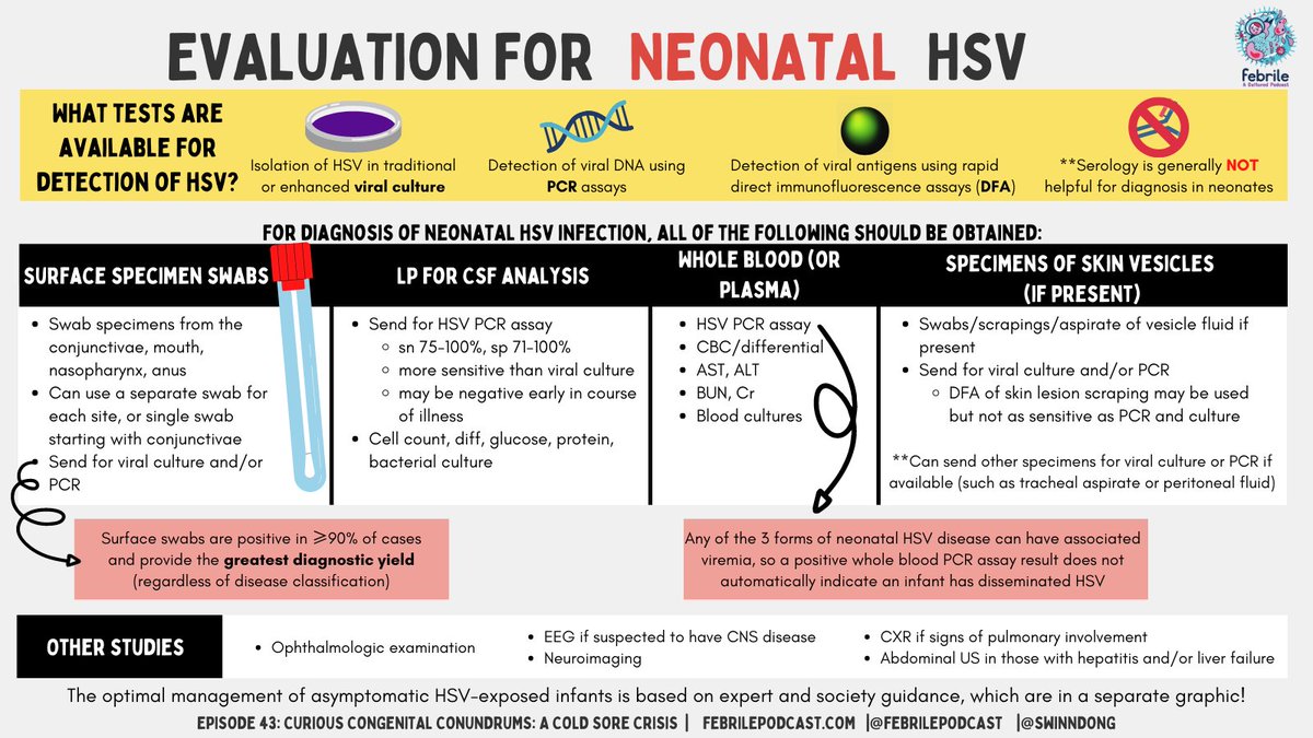 1/🔥NEW EPISODE! Join Drs. Sarah May Johnson & @fladomenou for this ...