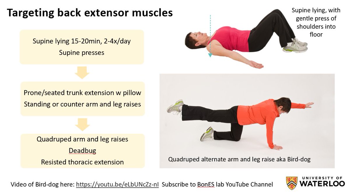 Prone Alternating Leg Lifts
