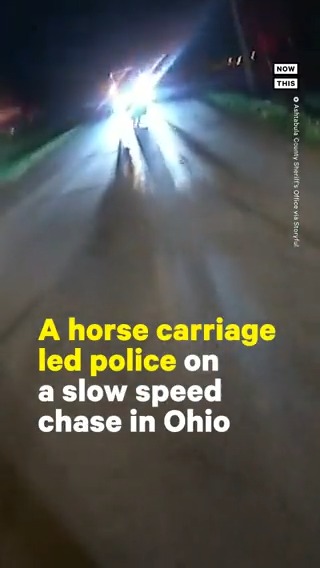 Twitter-এ NowThis: Twitter-এ NowThis:
