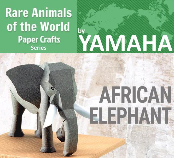 papermau on Twitter: "Rare Animals Of The World - African Elephant ...