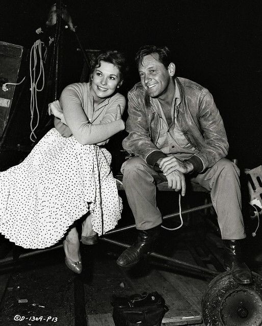 Picnic William Holden Kim Novak