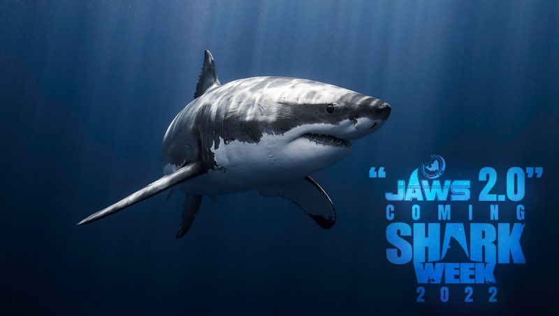 Shark Week 2022 Wallpaper