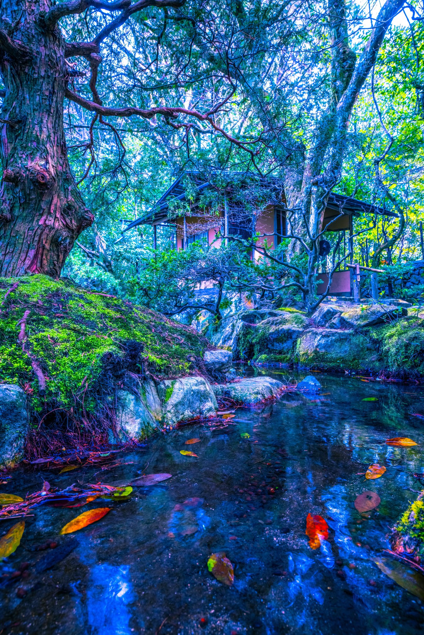 Kanata@アート・風景写真 on Twitter: "美しすぎる旧竹林院の庭園。 https://t.co/jeYW1HvkH4" / Twitter