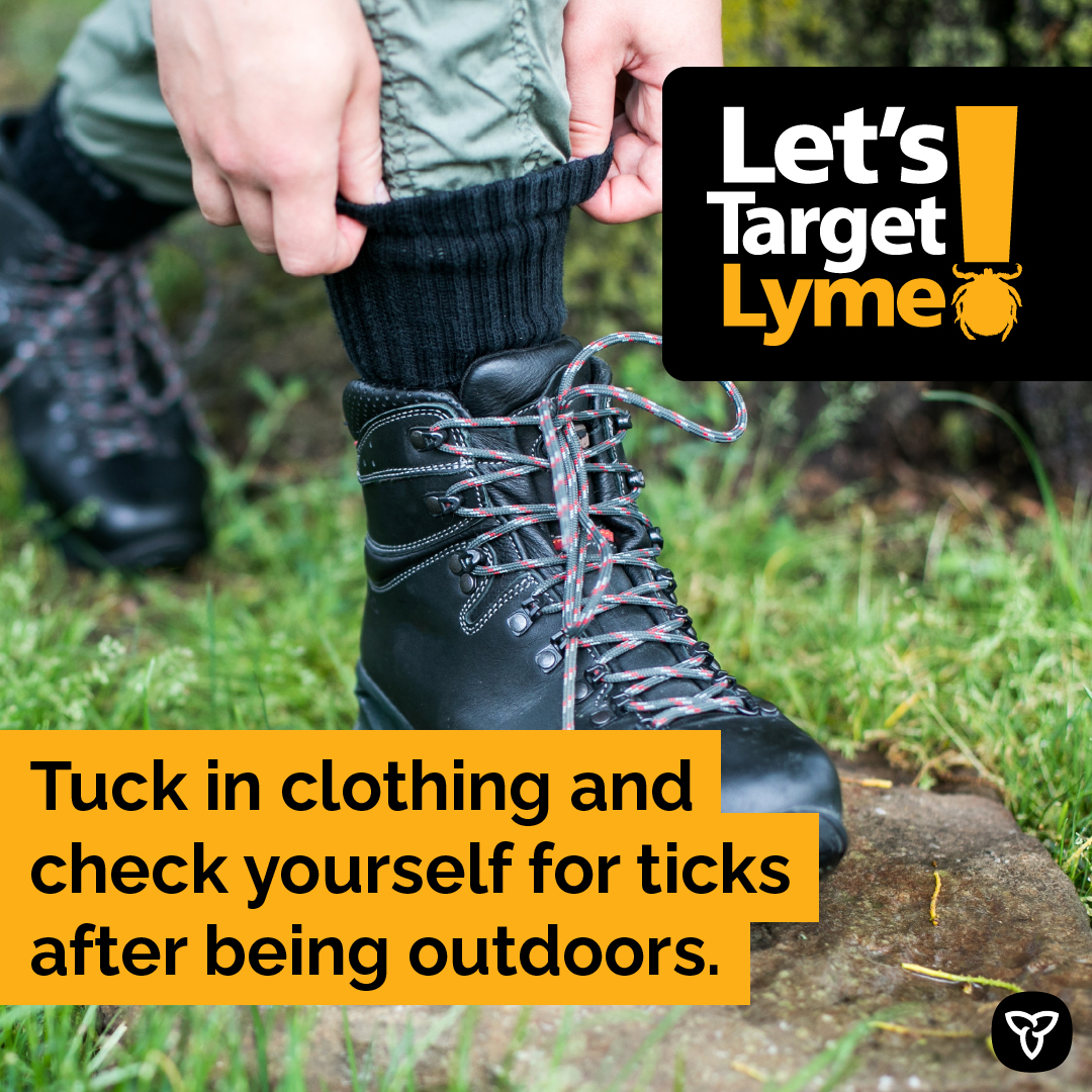 Belleville Tr103 | atelier-yuwa.ciao.jp