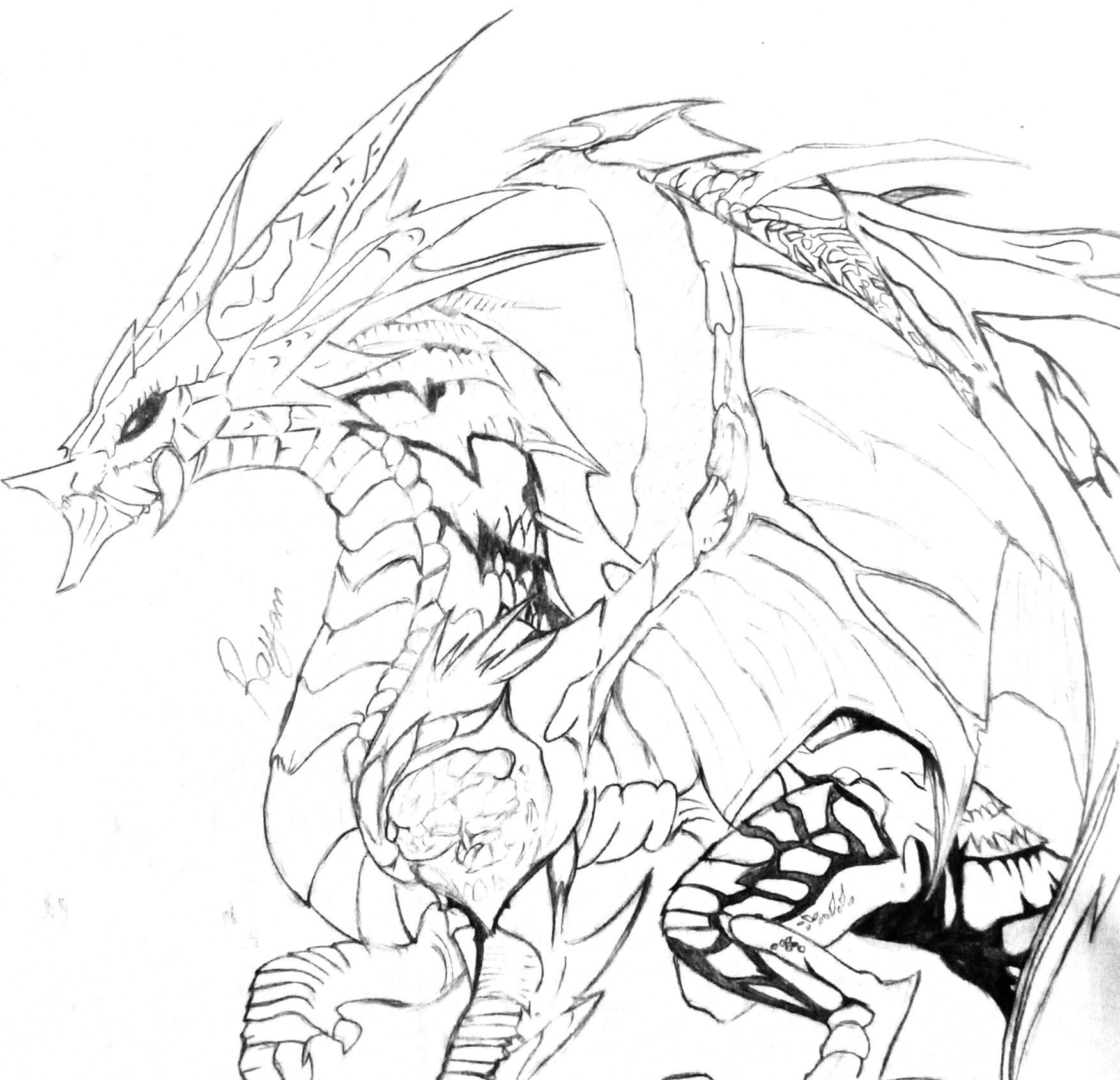 Line Drawings Of Dragons