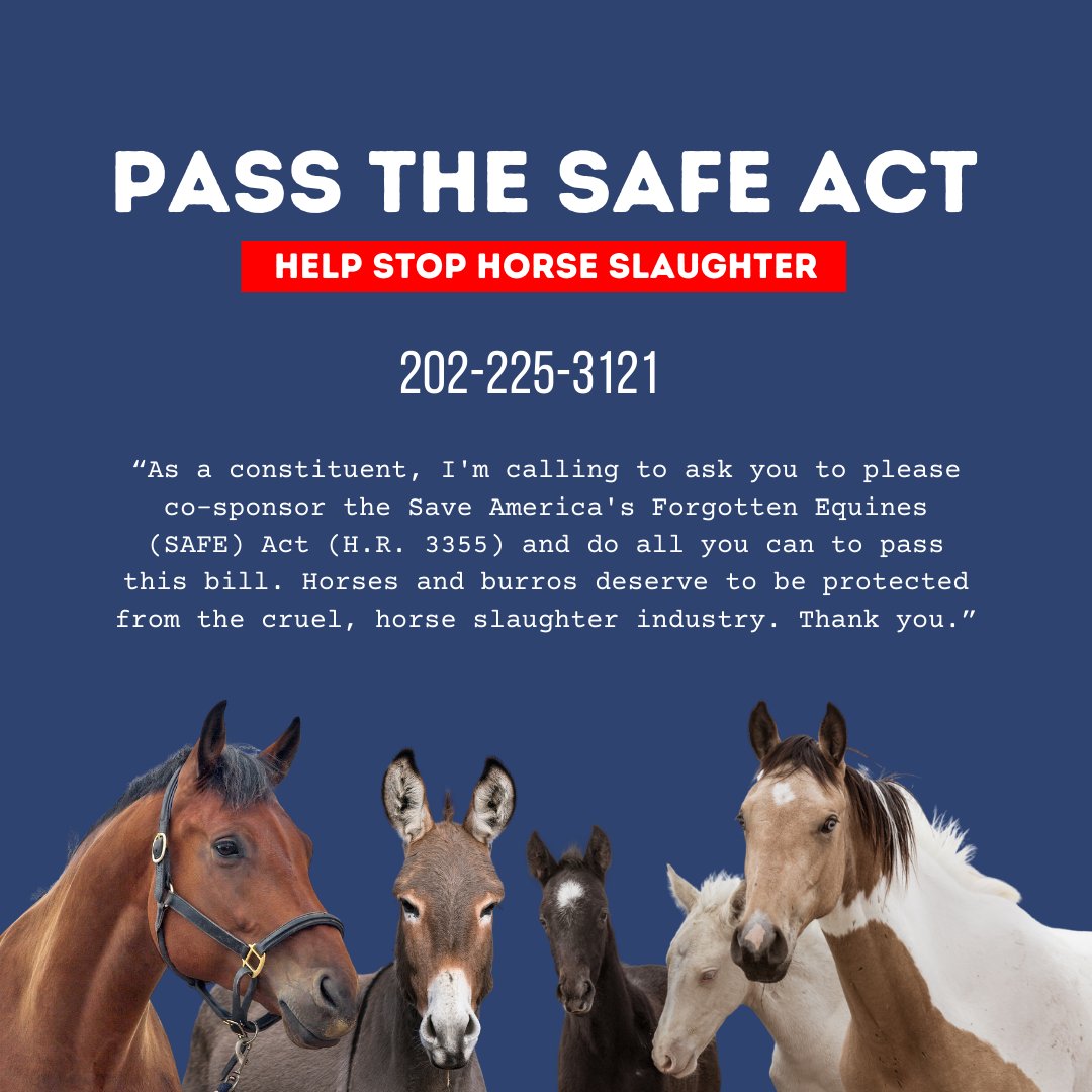 Stop Horse Slaughter
