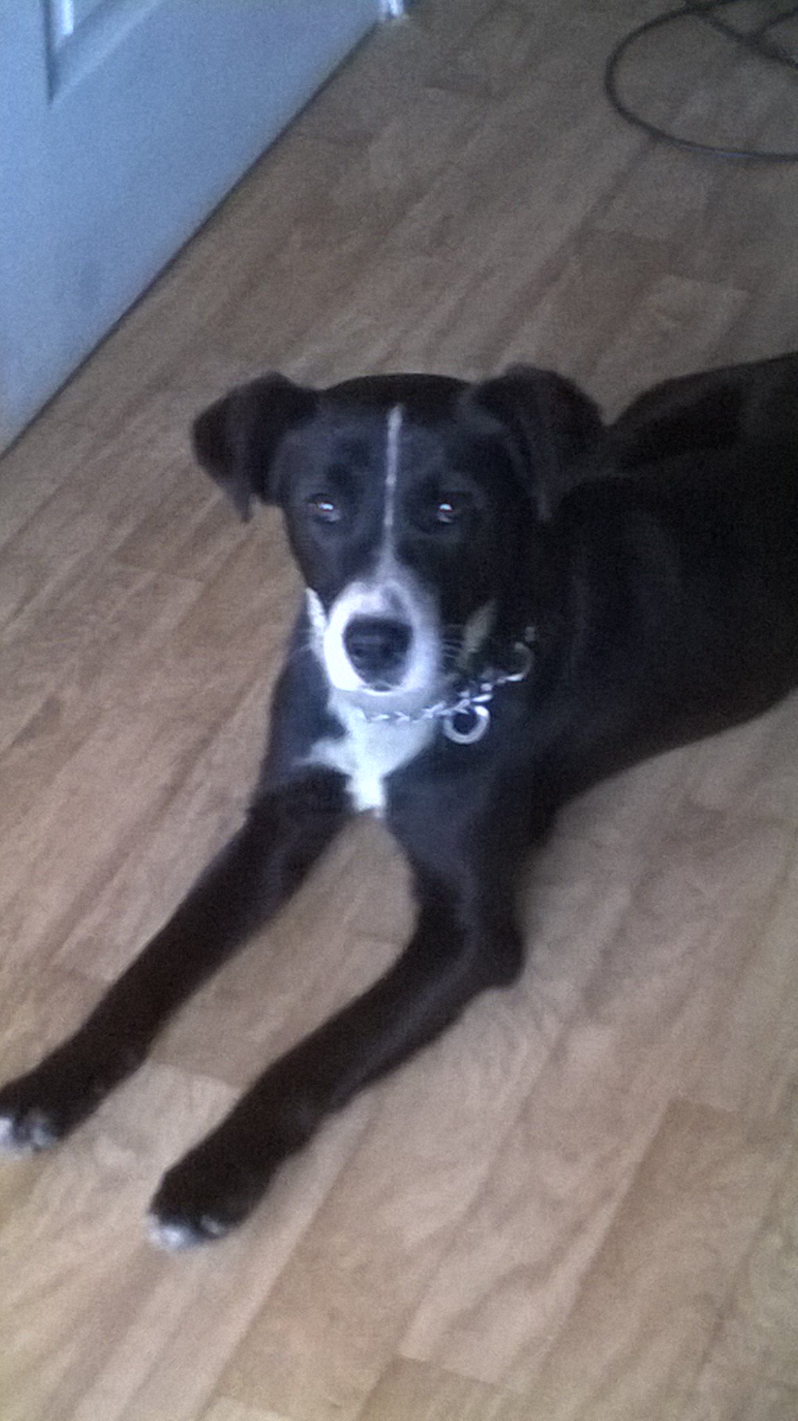 TW Pornstars - MrsMrTenta🥰🔞🔞. Twitter. notre ioda ... rip. 6:49 PM - 25 May 2022