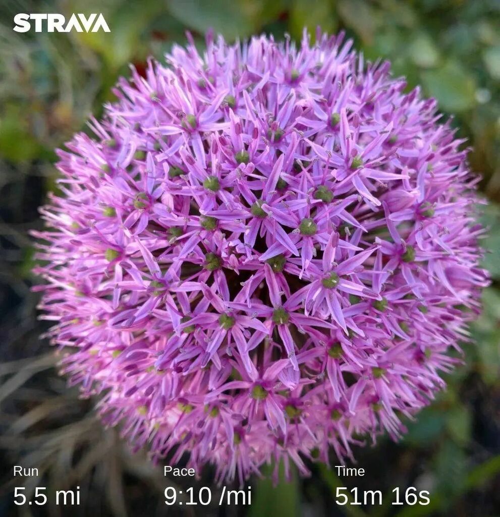 The greatest-ever race medal repurposing – The Run Commuter