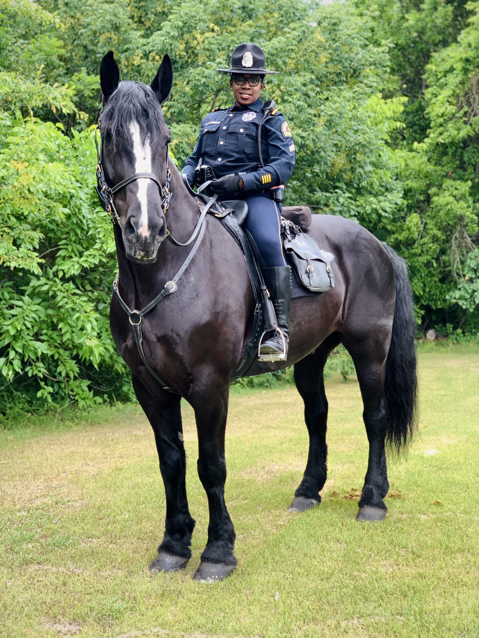 Police Riding Horse
