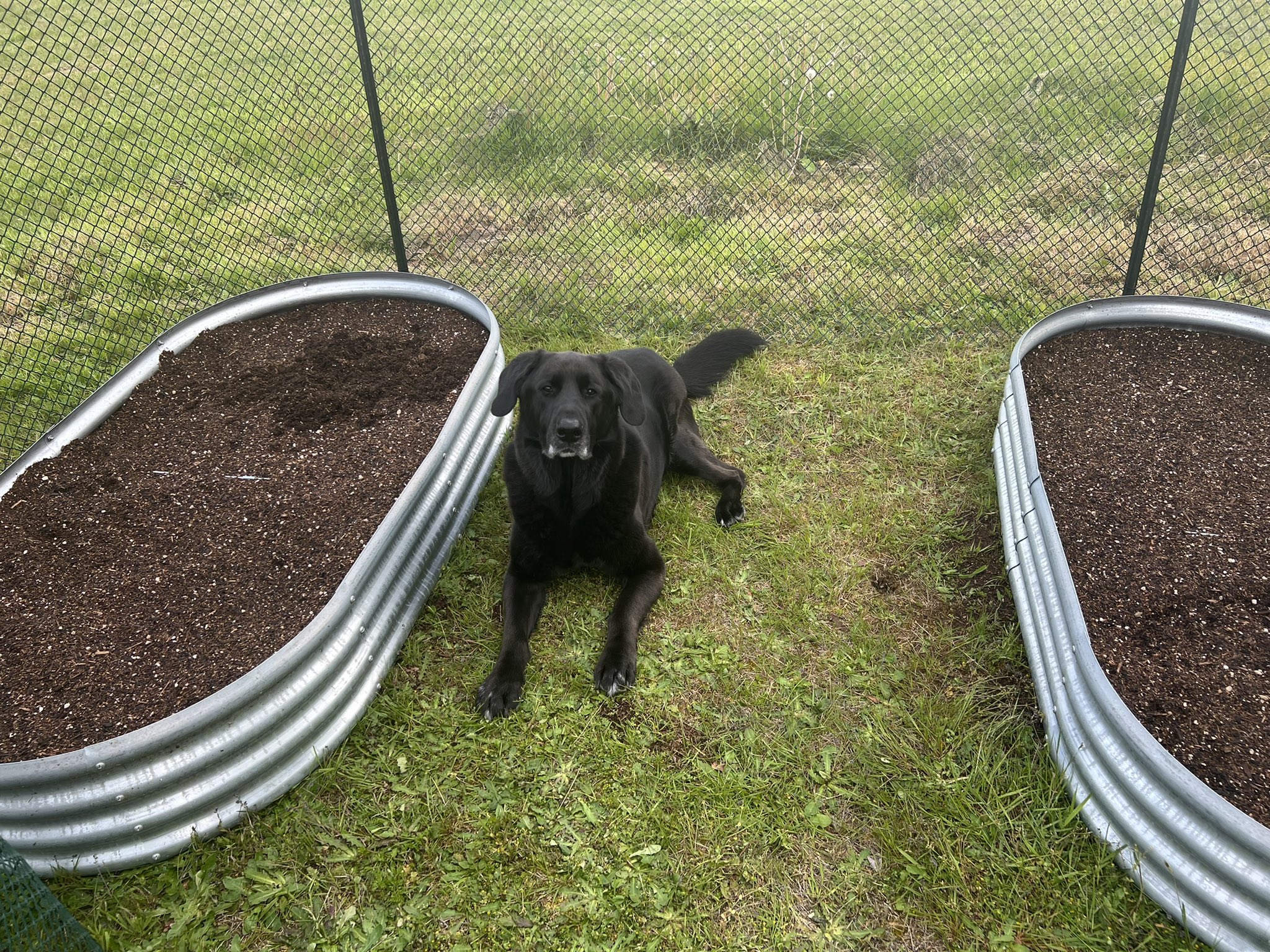 TW Pornstars - 2 pic. Anna Rivers. Twitter. The garden is almost ready ...