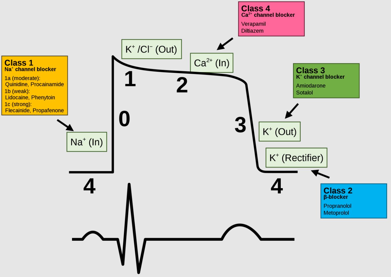 Vaughan Williams Antiarrhythmic Classification Of Meds The Vaughan