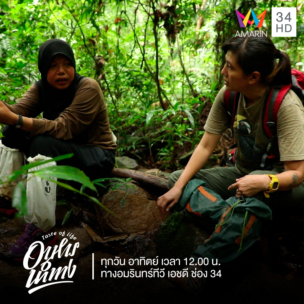 AmarinTV34 on Twitter: "ติดตามเรื่องราวของคนทำงานด้านอนุรักษ์ อีกหนึ่งรสชาติของชีวิตที่ต้องทำงาน ...