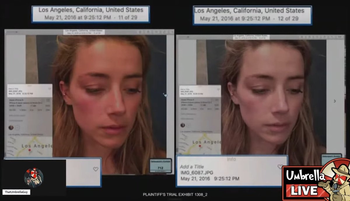 Did Bryan Neumeister testify photos weren't edited? : r/DeppVHeardNeutral