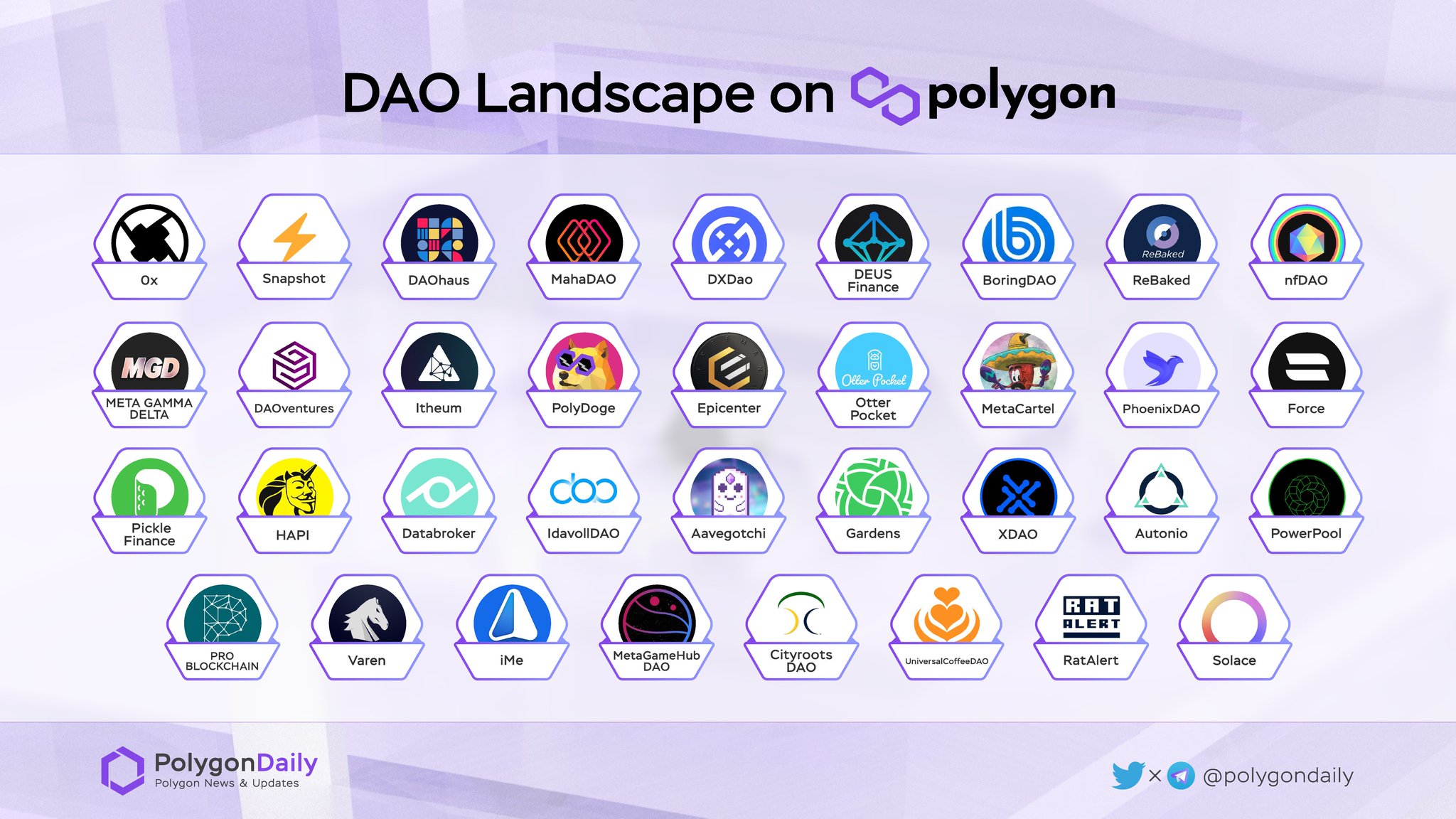 Polygon Daily on Twitter: "DAO LANDSCAPE ...Let's continue with DAO on @0xPolygon #Polygon ...