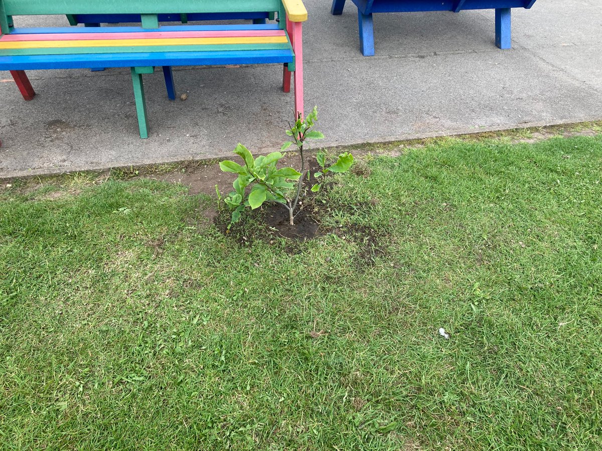 Cloudside Academy — A L.E.A.D. Academy