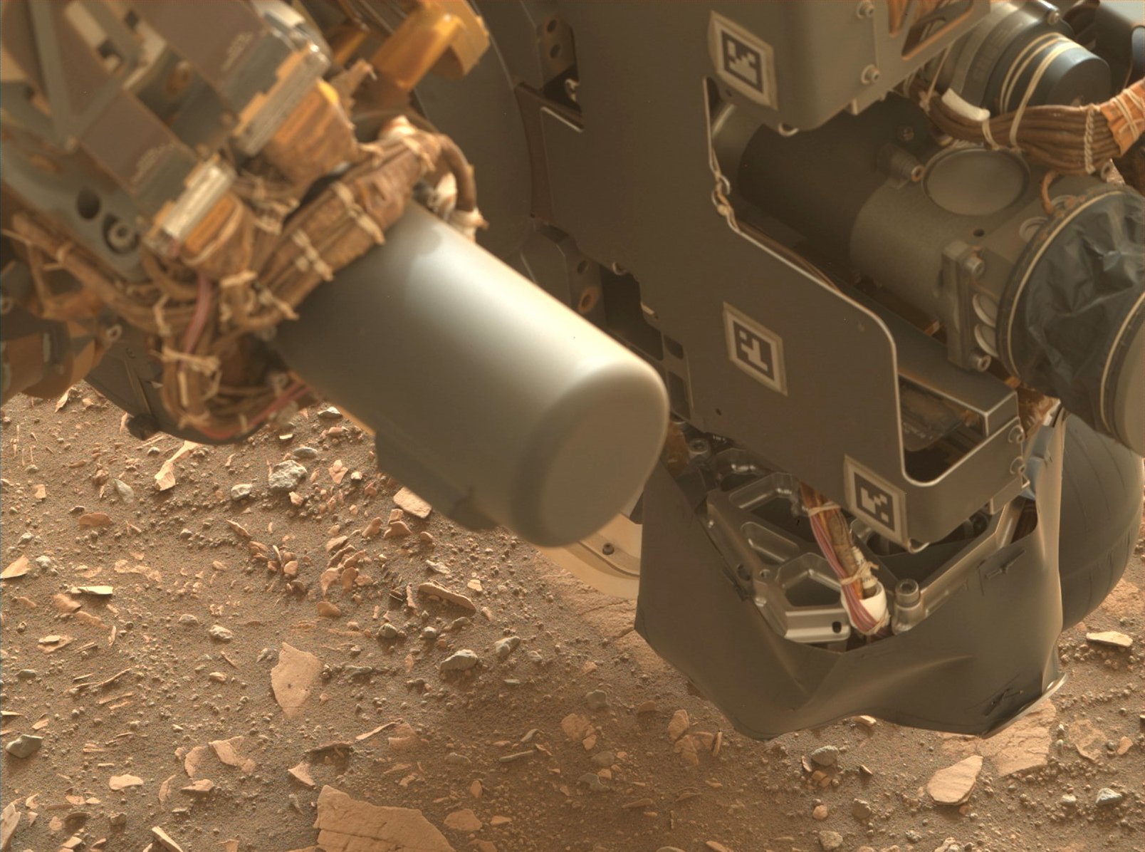 Mars Rover Head