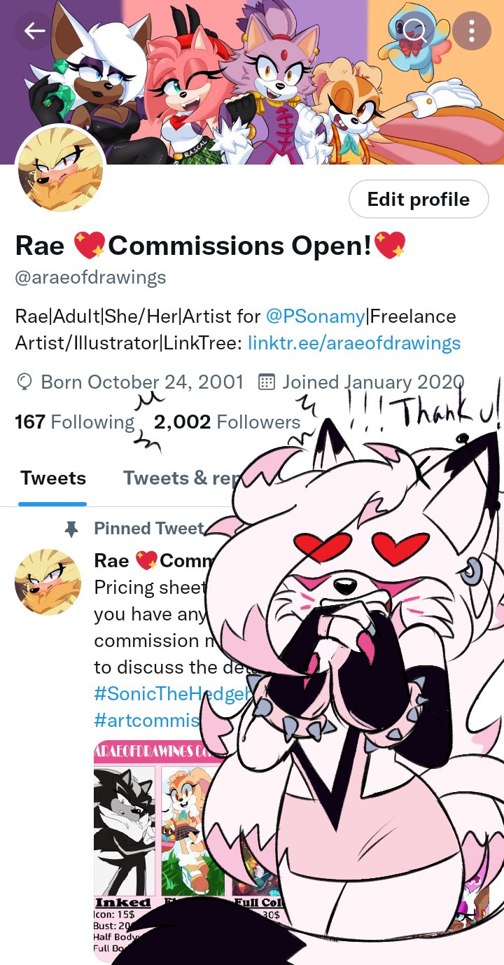 Rae 💖Commissions Open!💖 on Twitter: "THANK YOU SO MUCH FOR 2K!!!! YOU HAVE NO IDEA HOW MUCH I ...