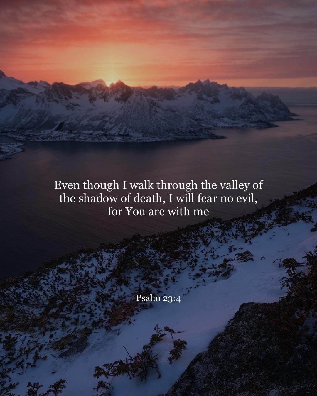 Shadow Of Death Bible Verse