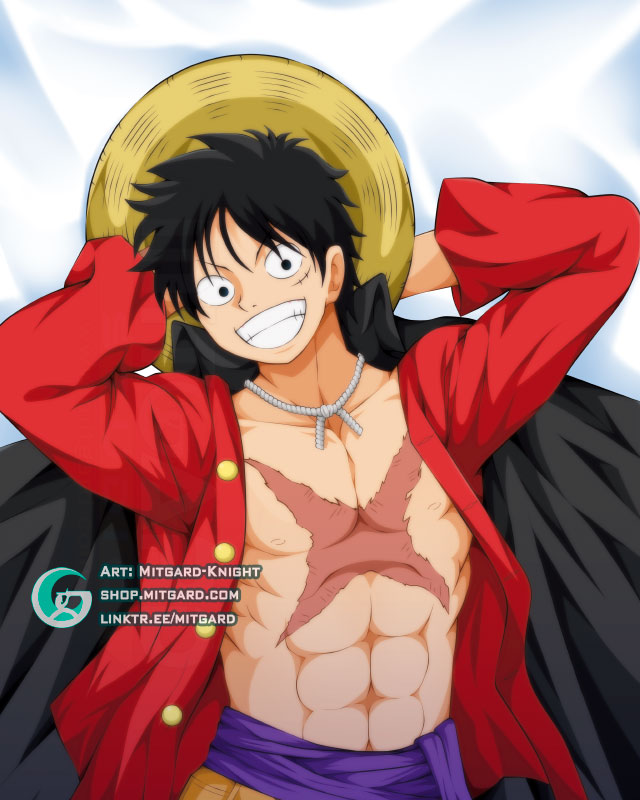 Luffy Body Pillow Atelier Yuwaciaojp