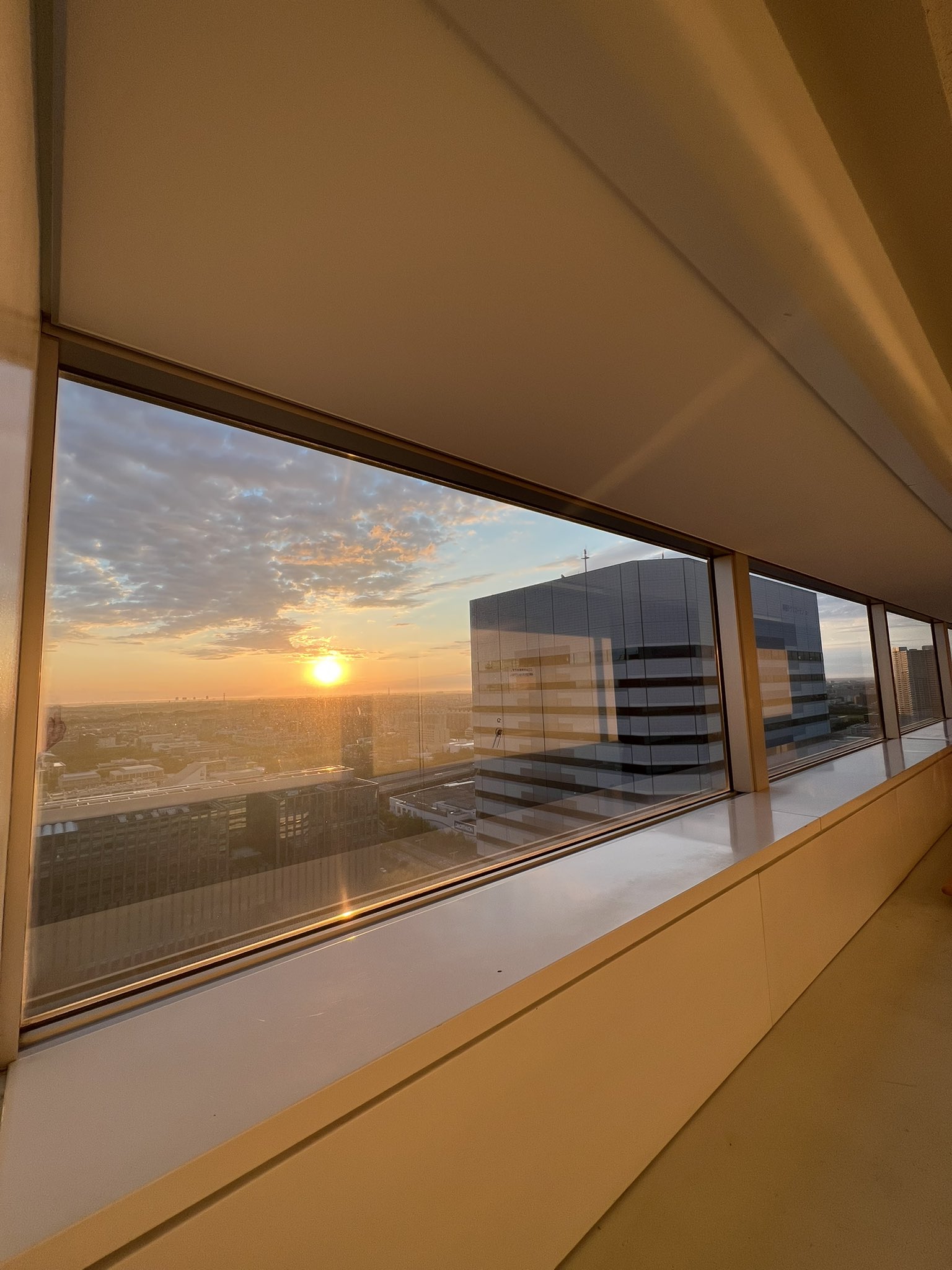 内田侑希/ Yuki Uchida on Twitter: "☀️🍀🐓 https://t.co/SAiifywIYV" / Twitter