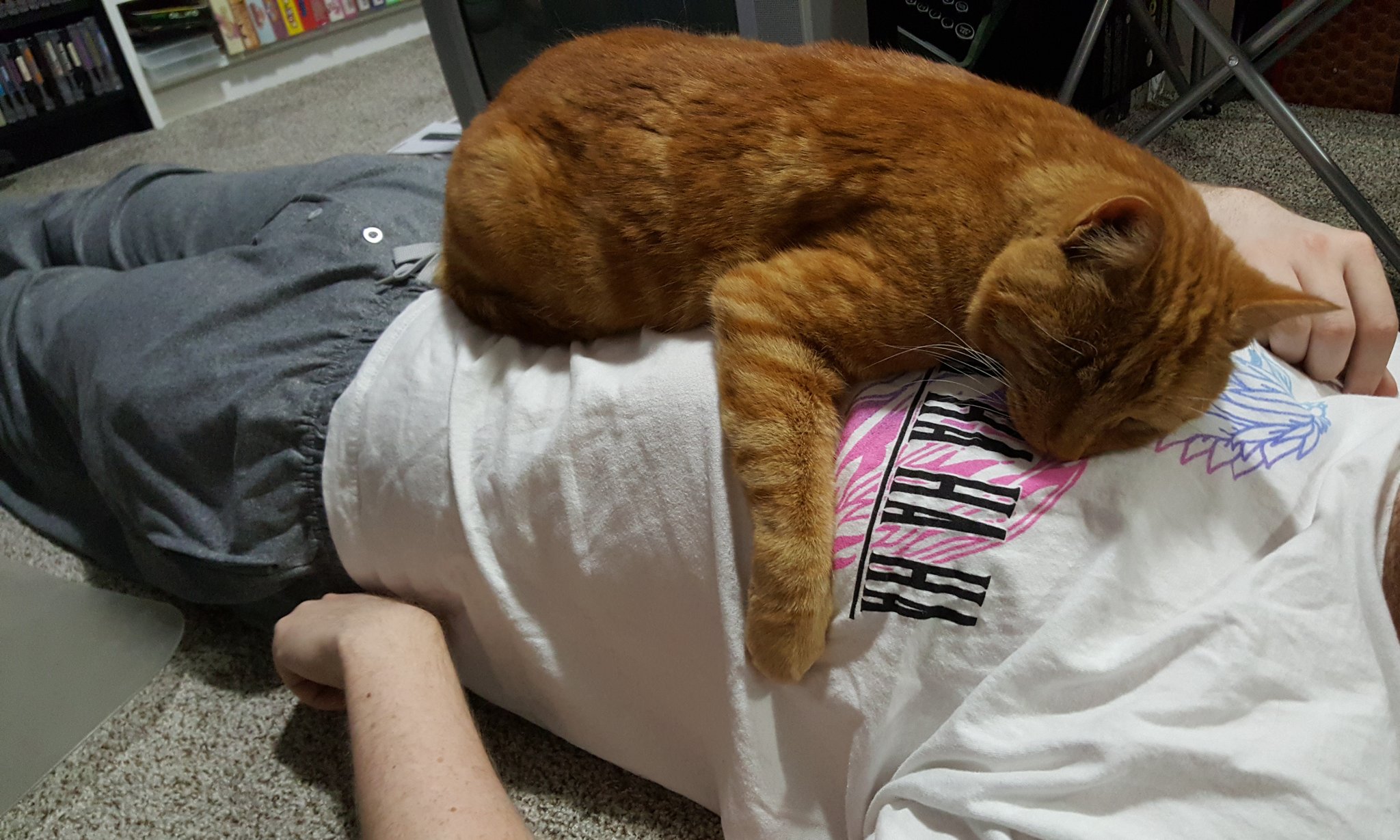 Proton Jon On Twitter Help I Cant Move Asfb53qnz8