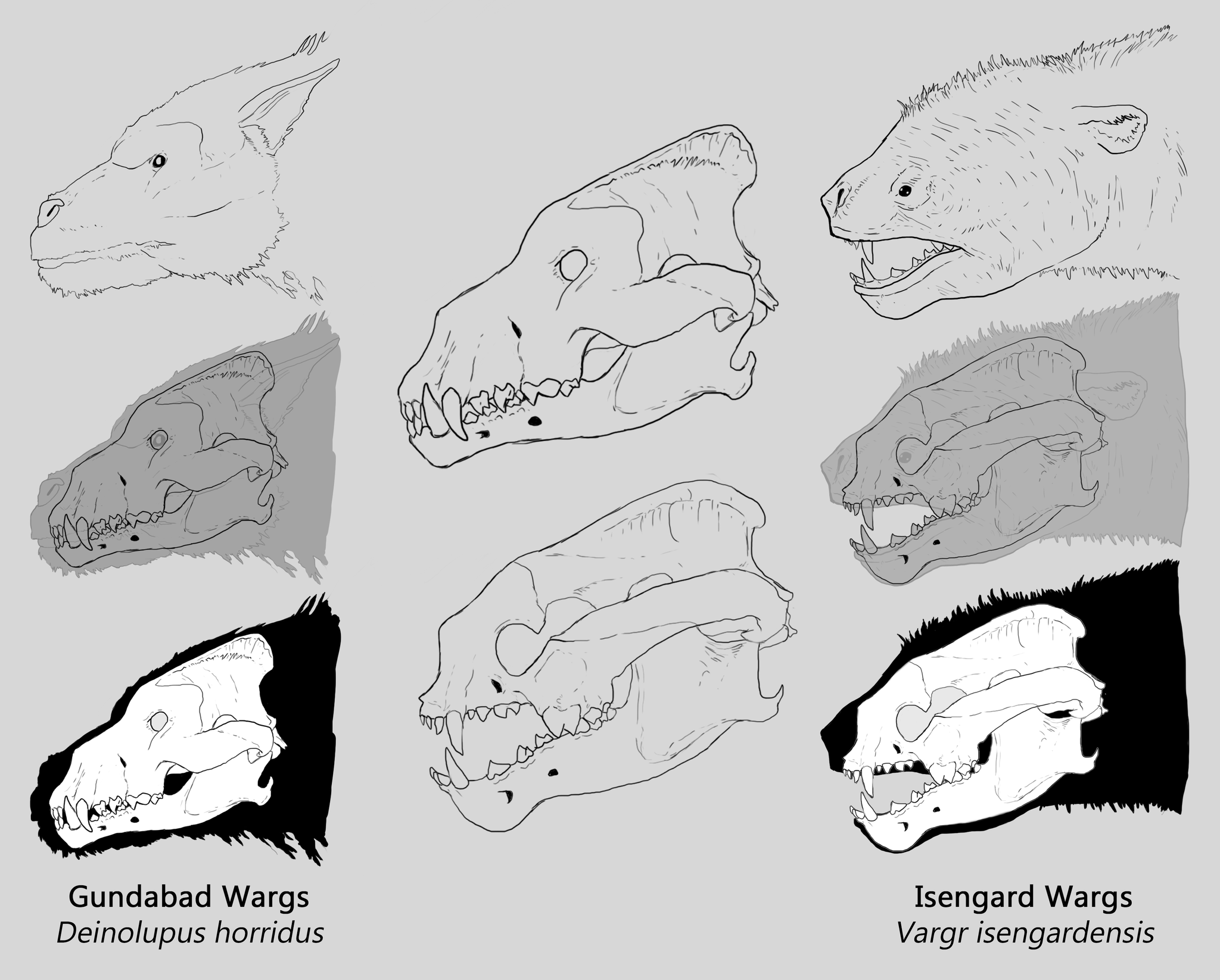 Warg Lord Of The Rings