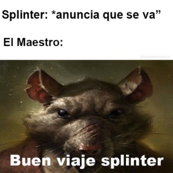 Maestro Splinter on Twitter: "RT @NoCoincido: es tal cual https://t.co/5debWyWsOR" / Twitter