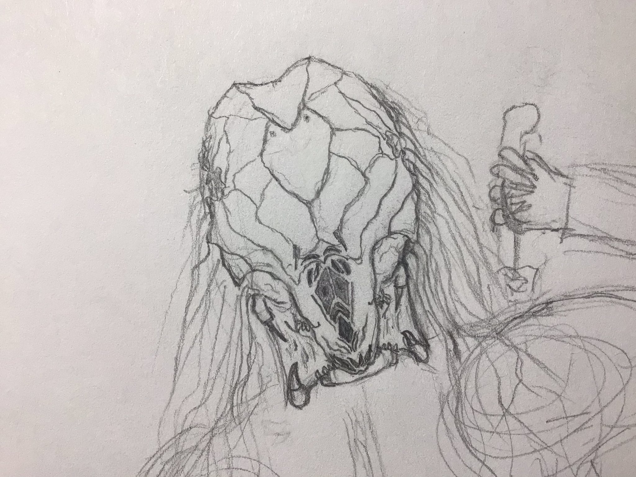Predator And Prey Drawing
