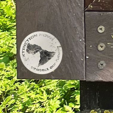 Lewis Lee (Jurassic Korea) on Twitter: "How many easter eggs did you spot here?? Only male Rex ...