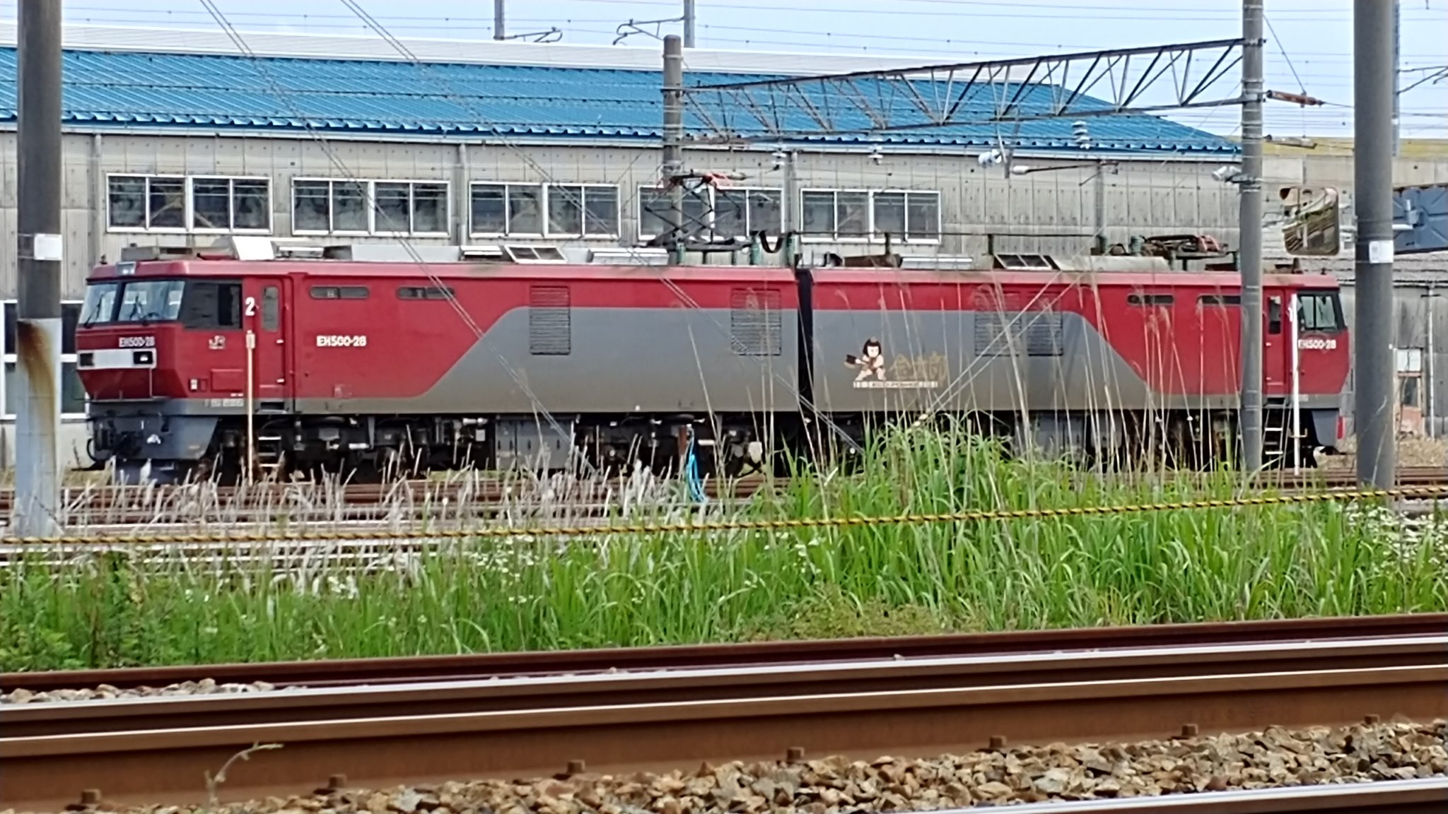 かた44たか on Twitter: "#EH500 #金太郎 #仙台総合鉄道部 #仙貨 #富山機関区 #訓練機 EH500-28 6/10 ついでに引上げ通過のキハ40系3B 今日は全トイレ ...