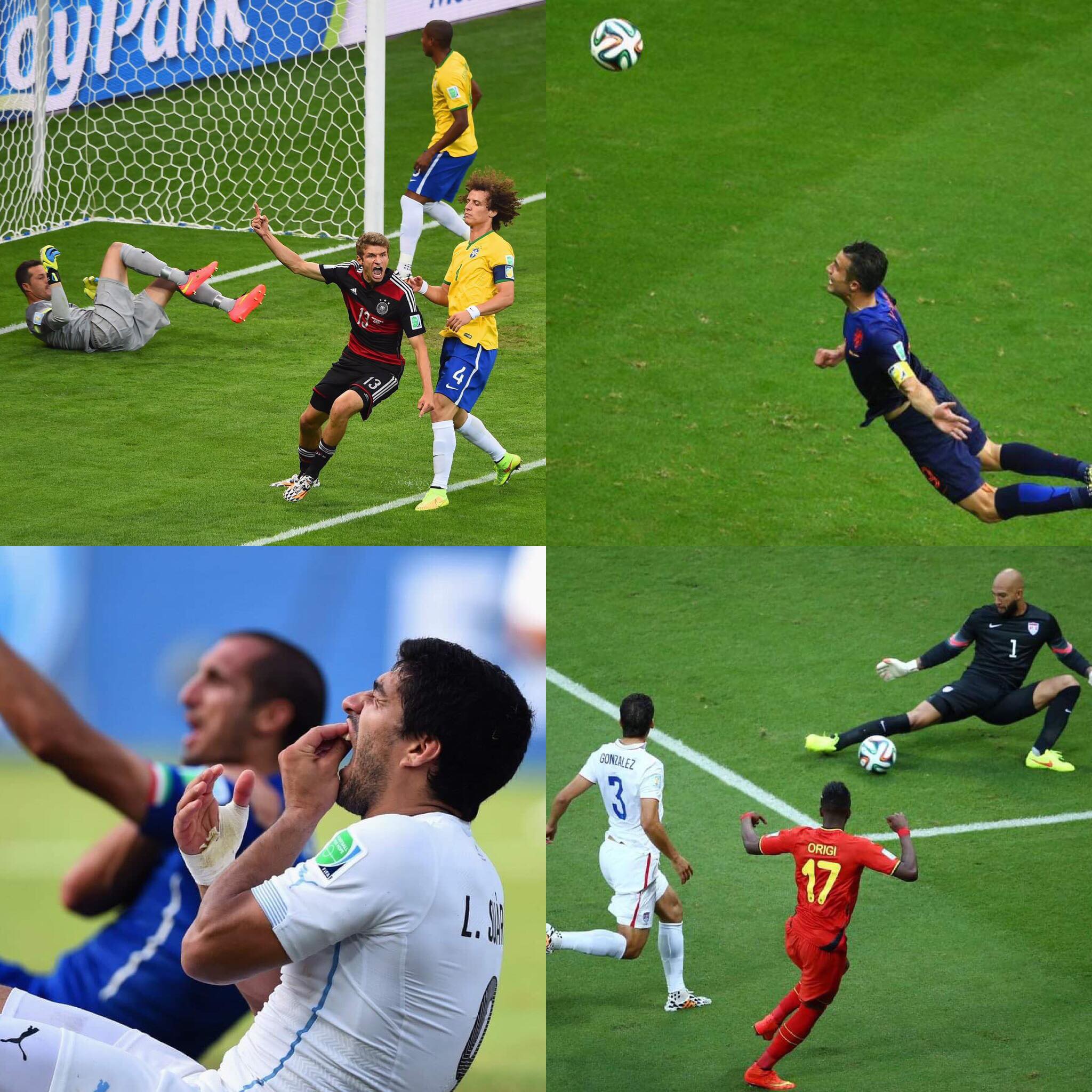 Tim Howard Diving 2022