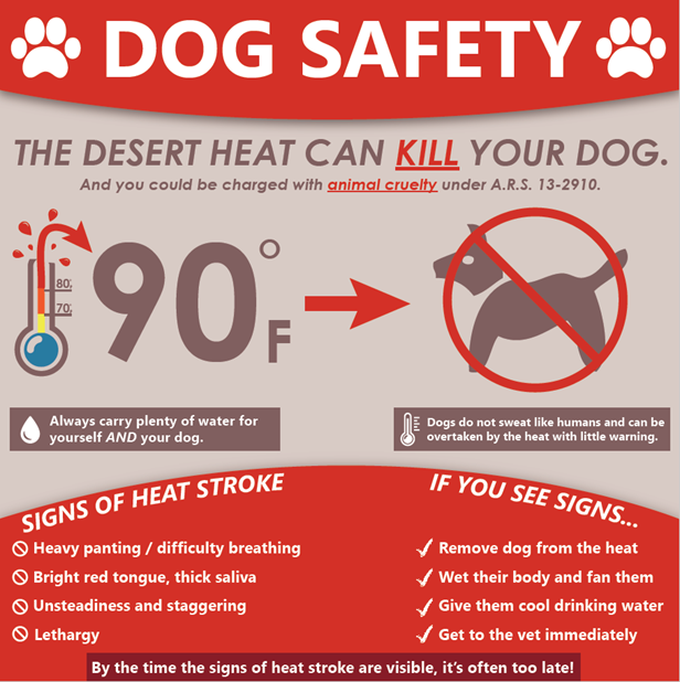 Can Heat Kill A Dog