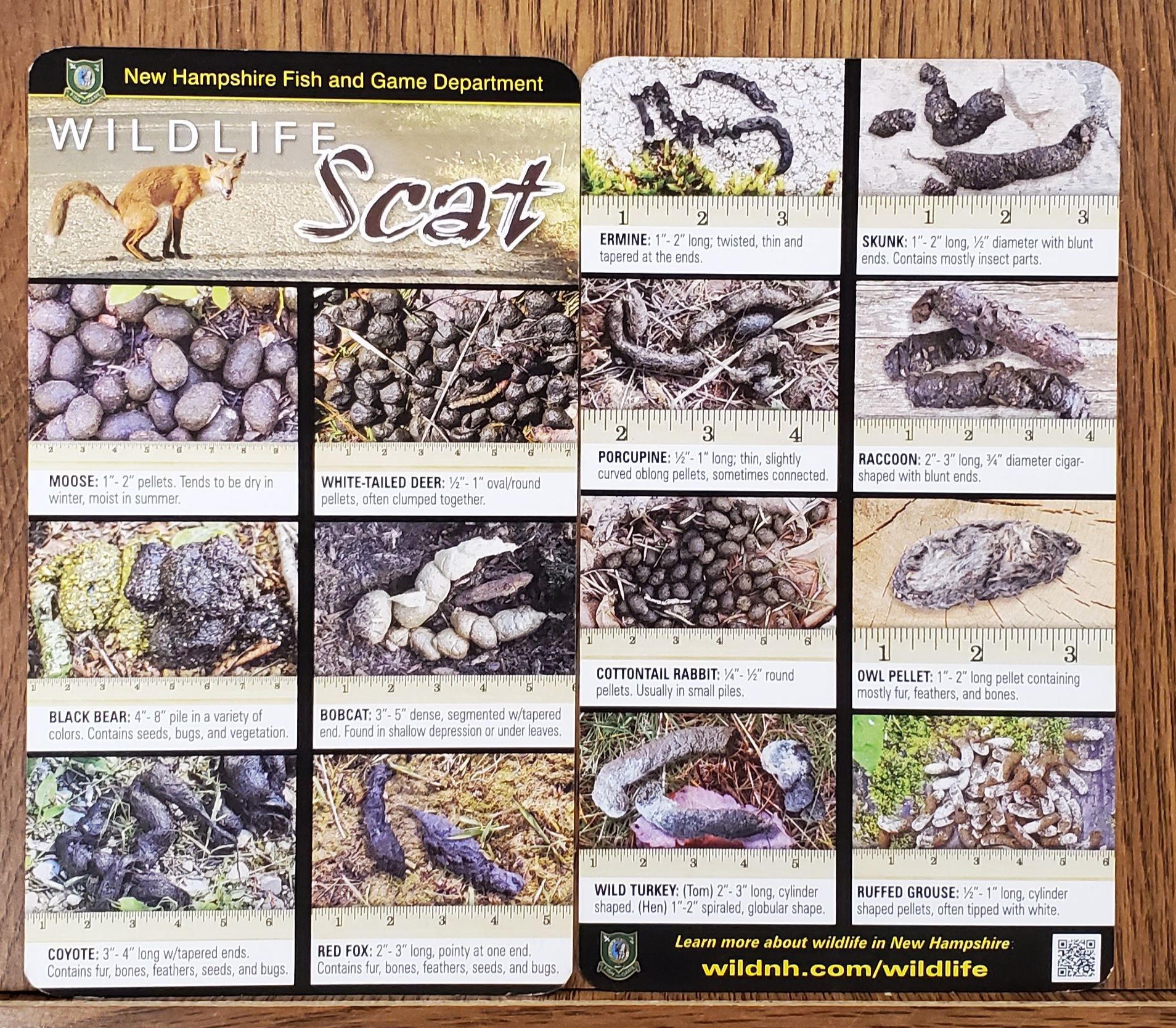 Identifying Animal Poop