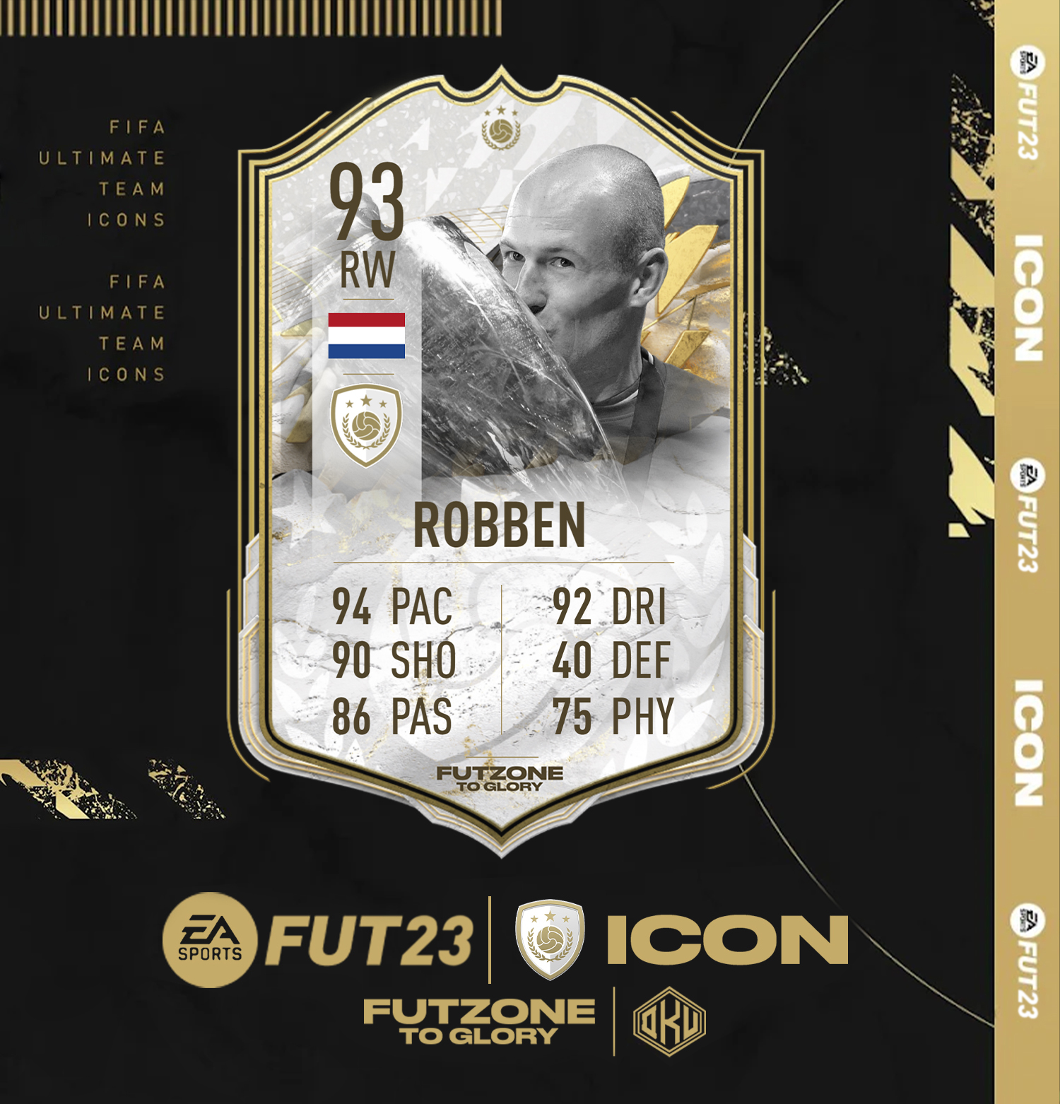 Robben Fifa Card