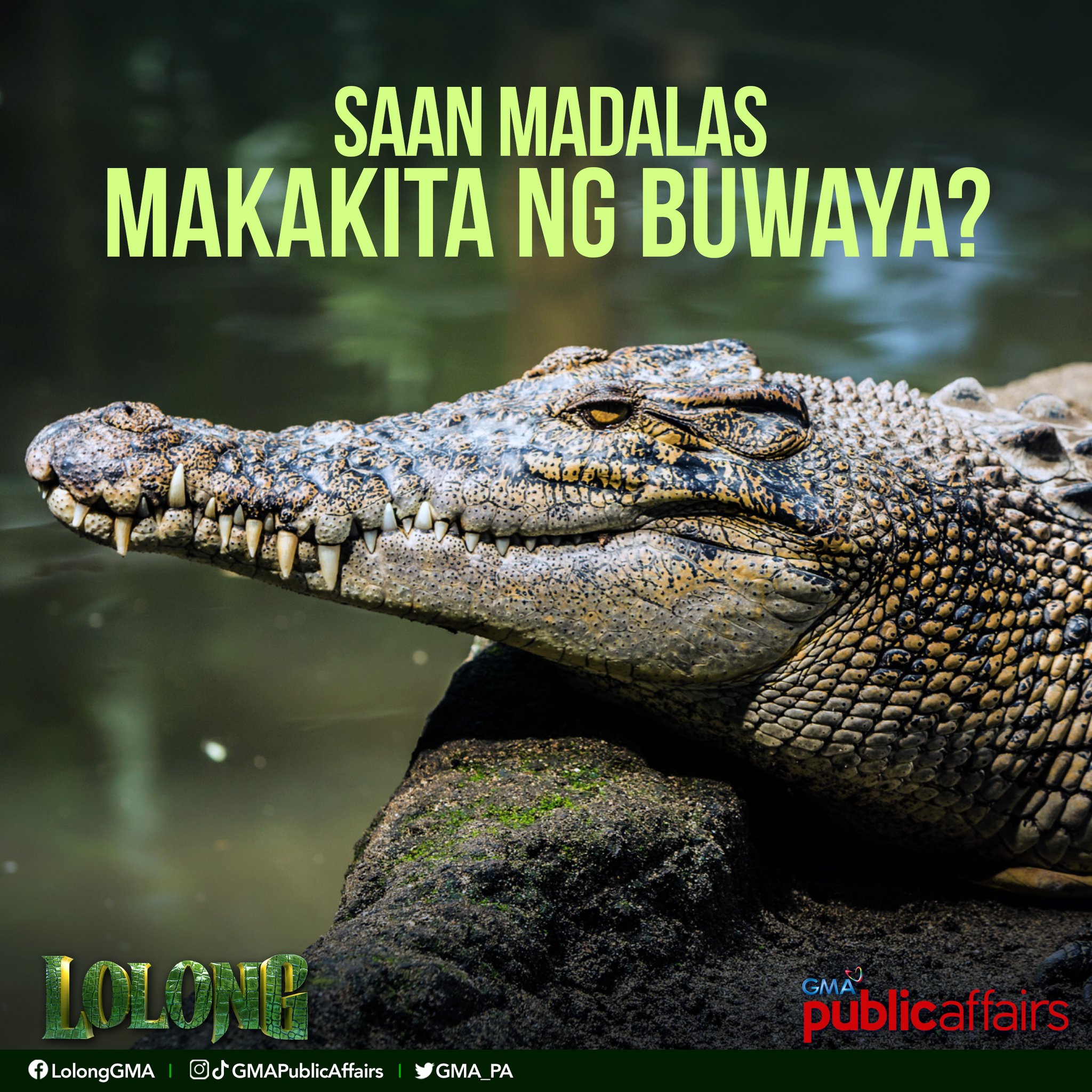 Buwaya Lolong